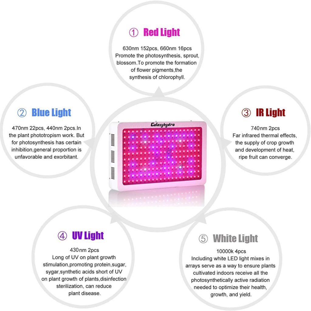 Our List Of The Best Grow Lights [Updated!] | 420 Green Thumb Indoor ...