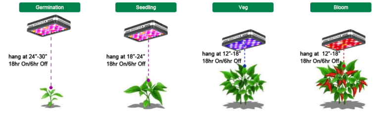 The 14 Best 600 Watt LED Grow Lights For Your Garden