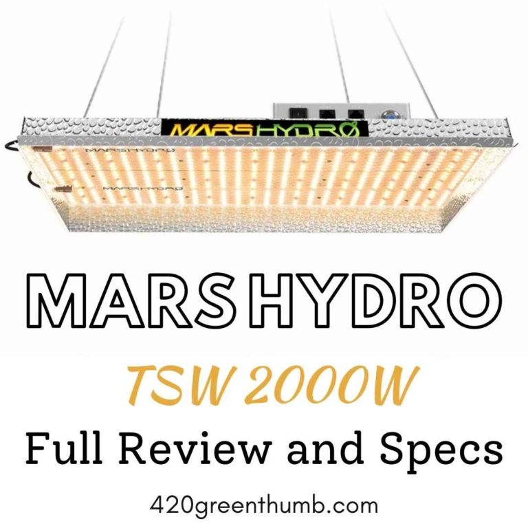 Our Mars Hydro TSW 2000w LED Grow Light 2022 Review