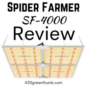 Review Of Spider Farmer SF 4000 LED Grow Light For 2026