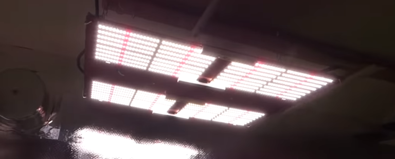 Review Of Spider Farmer SF 4000 LED Grow Light For 2026
