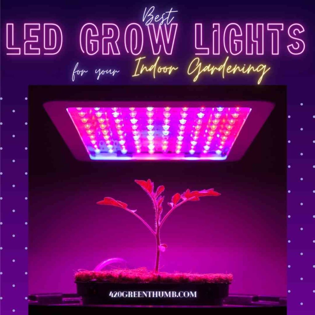 Our List Of The Best Grow Lights [Updated!] | 420 Green Thumb Indoor ...