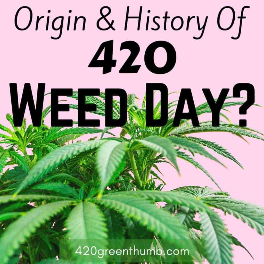 What Is The Origin Of 420 (April 20) Weed Day