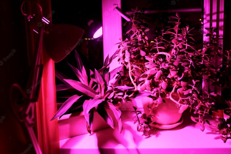 How Many Watts Per Square Foot For Lighting? | Learn Here!